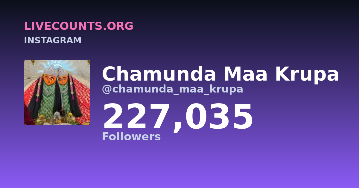 chamunda_maa_krupa Instagram Follower Count